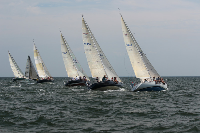 Frers 33 Class Website